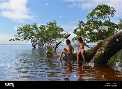 Girl Sitting On A Tree Trunk Of A Giant Rainforest Tree On The Banks Of The Amazon And Rio