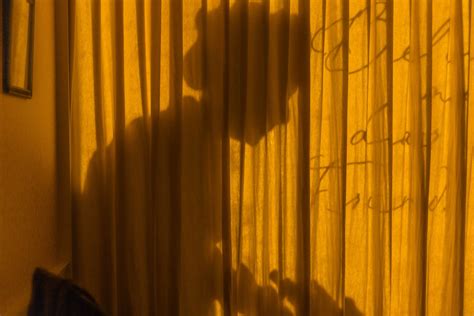 Welcome To Looe And Polperro The Story Of Emily