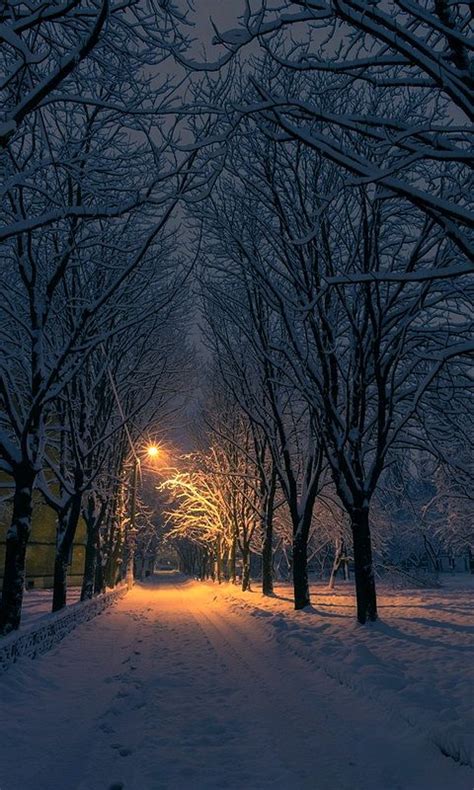Winter Evening In The City