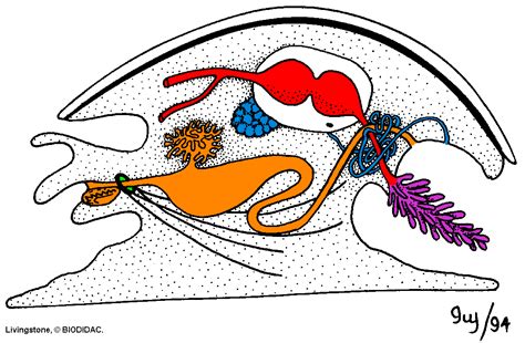 Untitled Document []