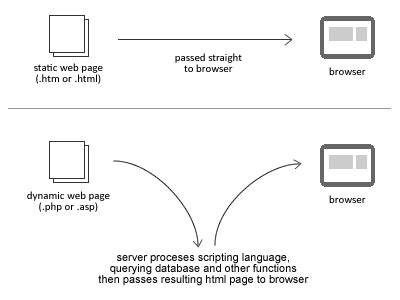 The Different Between Static Website And Dynamic Website Glypt Studio