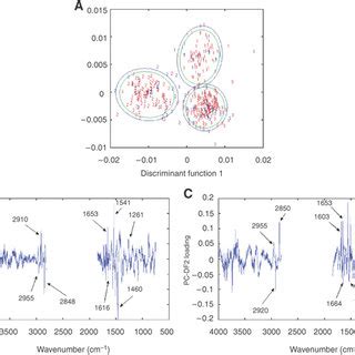A Discriminant Function Plot Showing Separation Based On Model A Download Scientific Diagram