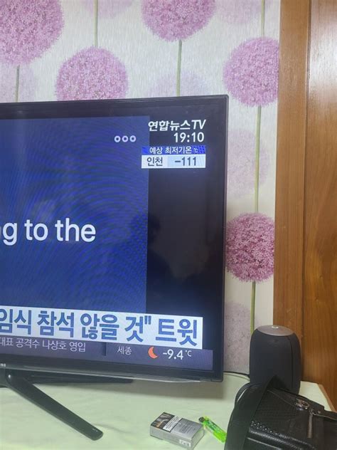 약한 자는 살아남을 수 없는 요즘 인천 날씨 짤주워오는계정 wkfxjfrp