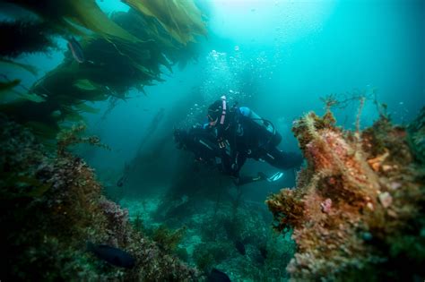 Tips For Getting Hired After Becoming A Scuba Instructor
