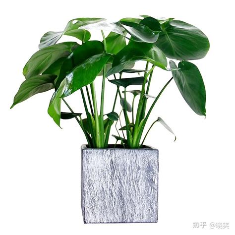 孩子也需要知道理财知识 知乎