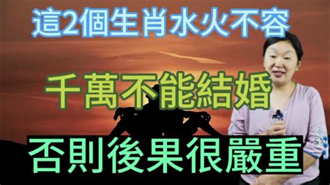 這2個生肖水火不容，天生相衝，千萬不能結婚做夫妻，否則後果很嚴重！生肖 生肖情侶 Youtube