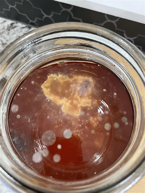 Kombucha Restart Fail Rfermentation