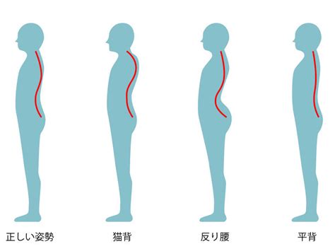 姿勢、平背、猫背にお悩みの方は Fcc築地鍼灸整骨院へ！｜中央区、築地、銀座、新富町エリア