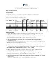 Projectile Motion Lab Report Data Analysis Simulation Course Hero