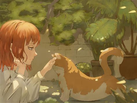 少女与猫骷玖 站酷zcool