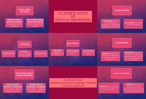 Classification Of Speech Disorders Infographic Ppt