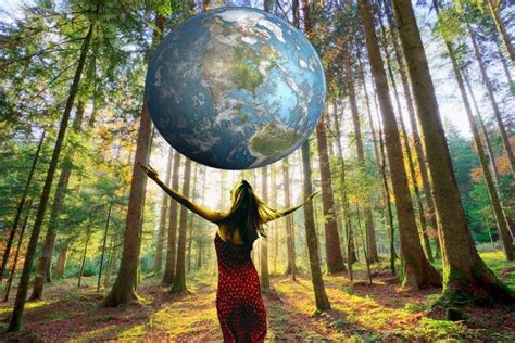 Língua Inglesa Lets take care of the environment Conexão Escola SME