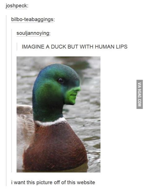 Turtle Lips Meme