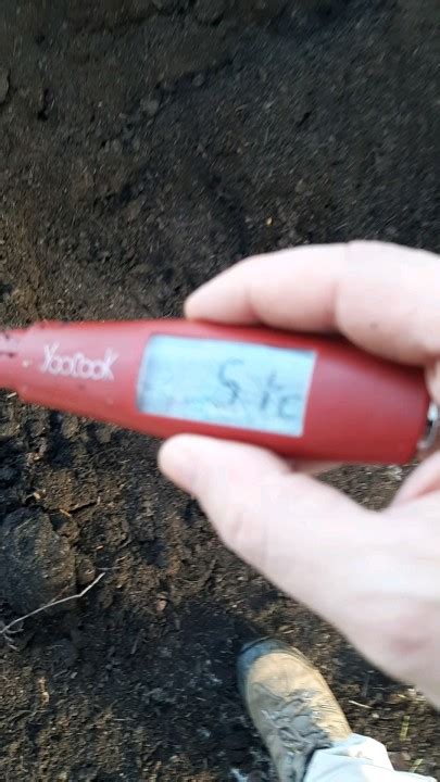 [video] Alessandro Rancati On Linkedin Neweuropeanbauhaus 13 Comments