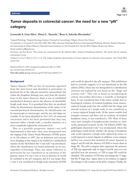 Pdf Tumor Deposits In Colorectal Cancer The Need For A New “pn” Category
