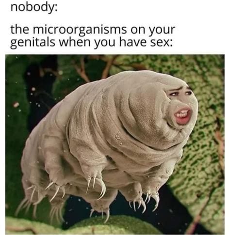 Nobody The Microorganisms On Your Genitals When You Have Sex Ifunny