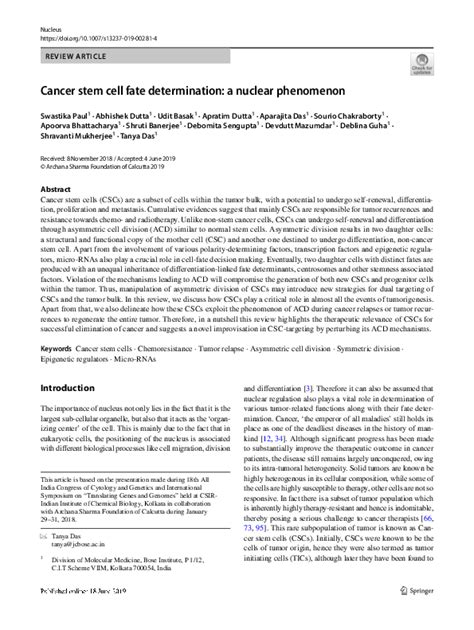 Pdf Cancer Stem Cell Fate Determination A Nuclear Phenomenon