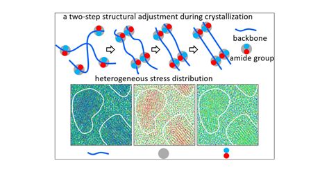 Crystallization And Heterogeneous Local Stress Distribution In Hydrogen Bonded Polymers