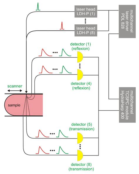 diffuse optical tomography dot and imaging doi picoquant