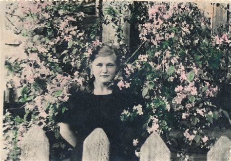 Фото Цветущий куст 1950 е г Тобольск Савинский затон дер