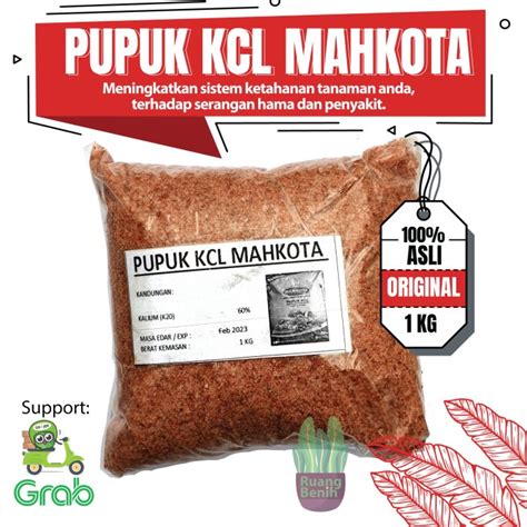 Jual PUPUK TANAMAN TUMBUHAN BUAH KCL MAHKOTA ORIGINAL CANADA MOP REPACK