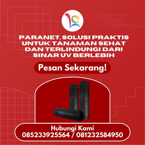 Manfaat Buah Duku Untuk Mencegah Kanker