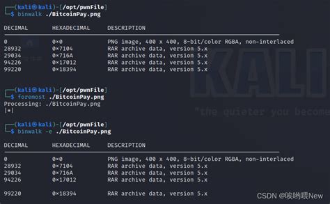 Ctf题集【buuctf Misc】 Swpu2019 神奇的二维码1 Swpu2019 神奇的二维码 1 Csdn博客