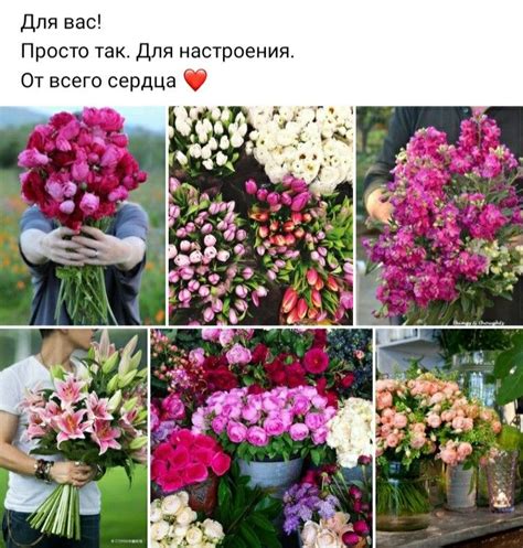 Пин от пользователя Karamfila Stefanova на доске Коллаж Весна Доброе