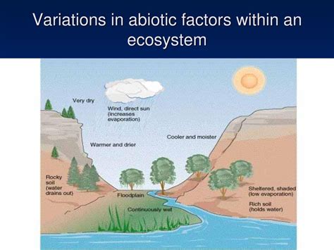 Apes Ch 6 Ecosystems And Ecosystem Management Ppt Download