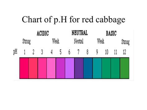 Red Cabbage Indicator Ph Scale