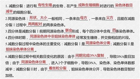 生物高中必修二第2章《基因和染色体的关系》复习ppt课件4 统编人教版 教习网课件下载