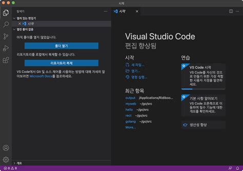 Vs Code 언어를 한국어한글로 설정하는 방법