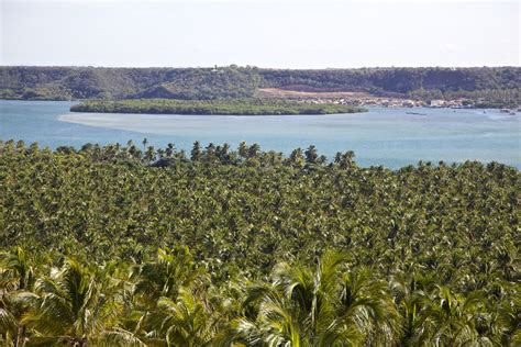 Concurso Prefeitura De Roteiro Al São 89 Vagas Para Todos Os Níveis