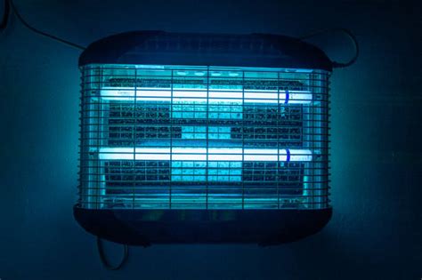 9000개 이상의 Uv Lamp 스톡 사진 그림 및 Royalty Free 이미지 Istock