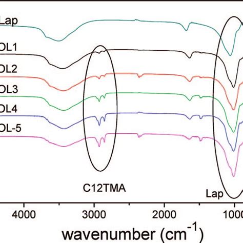 Height Normalized Absorption A And Fluorescence B Spectra Of R6g In