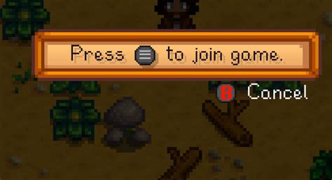 Stardew Valley Asks For Menu Button In Split Screen Co Op With Nintendo Switch Connected R