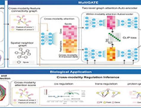 Seuratextend Streamlining Single Cell Rna Seq Analysis Through An Integrated And Intuitive