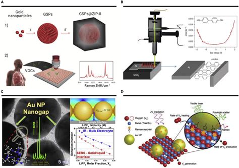 Typical Applications Of Sers A Auzif 8 3d Structure For Download Scientific Diagram