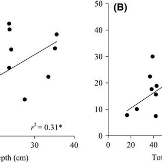 Relationships Of The Plant Height To 95 Root Depth And To Total Root Download Scientific