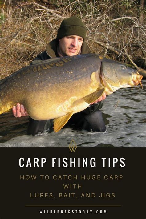 Carp Fishing Tips How To Fish For Carp And Catch Them Fishing Tips Pike Fishing Tips Carp