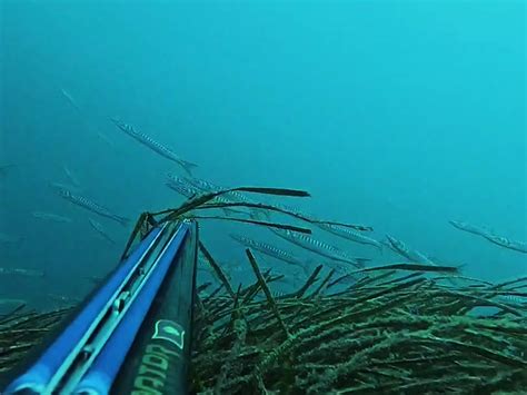 Hitac Za SjeĆanje Na Udici