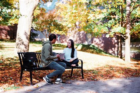 多伦多大学英语语言项目 Saf