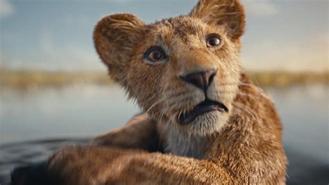 Mufasa The Lion King Trailer Brings Director Barry Jenkins To The