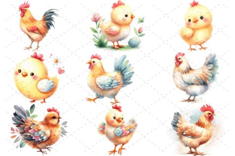 9 Watercolor Chicken Clipart Png Bundle Graphic By Design Store
