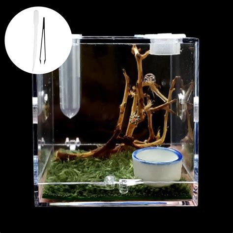 Kitpipi Jumping Spider Enclosure Jumping Spider Habitat With Dropper Tongs Acrylic Reptile