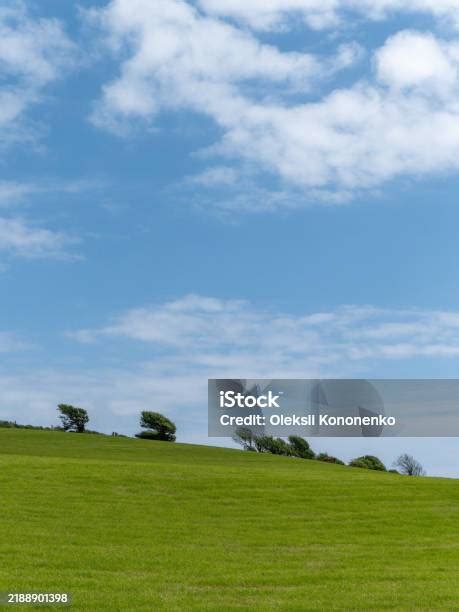 맑고 푸른 하늘 아래 푸른 언덕에 아름 다운 나무 그림 같은 봄 풍경 아일랜드의 자연 복사 공간입니다 푸른 하늘 아래 푸른 잔디밭 0명에 대한 스톡 사진 및 기타 이미지