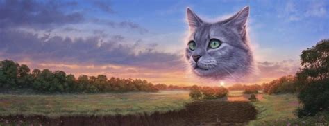 The Fourth Apprentice Polish Official Cover Art Warrior Cats Warrior