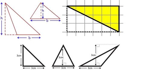 Area Of Triangle Triangle Area Activity Teaching Resources
