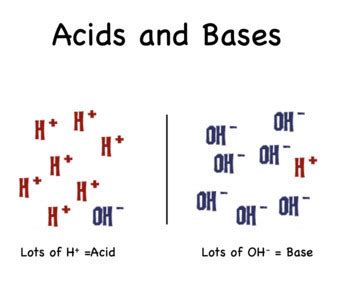 Acids Bases And The PH Scale Make A PH Rainbow Lab By Mrs T S Lab