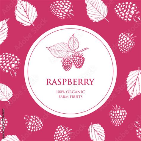 Hand Drawn Raspberry Set Isolated On White Background Retro Sketch Style Vector Illustration